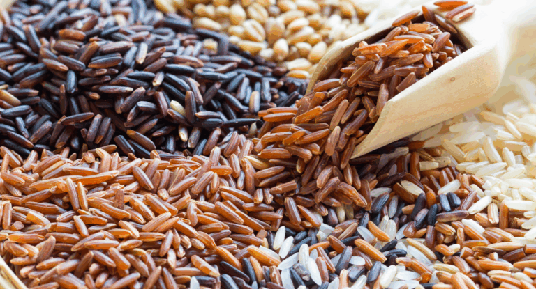 Is Rice Good for Dogs? - Wholesomes Pet Food