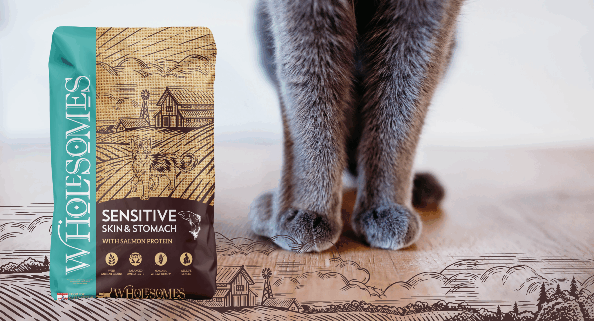 Can Cats Eat Salmon? A Guide to Safe and Healthy Feeding - Wholesomes ...