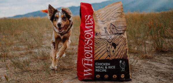 Is Chicken Good for Dogs? - Wholesomes Pet Food